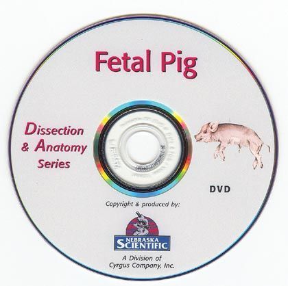 The Dissection & Anatomy of the Fetal Pig (DVD) - Dissection Kits – DR ...