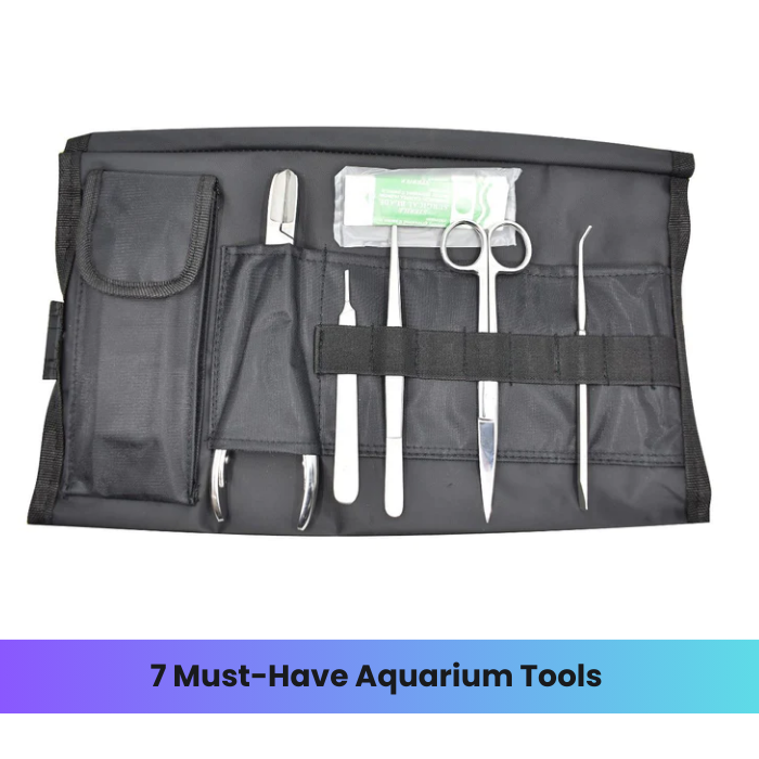 7 Must-Have Aquarium Tools for Thriving Aquatic Plants – DR Instruments