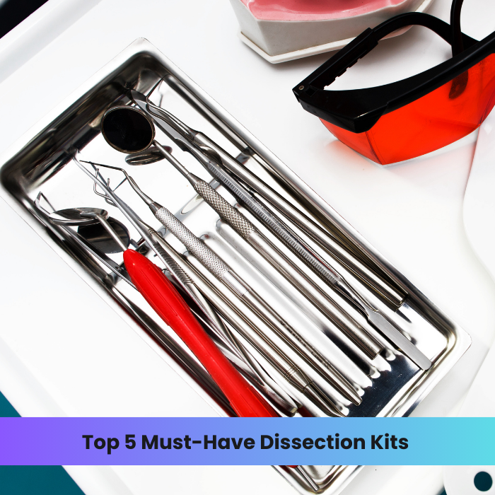 Top 5 Must-Have Dissection Kits for High School and College Students ...
