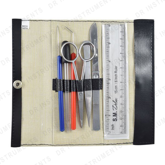 Budget Frog Dissection Kit – DR Instruments