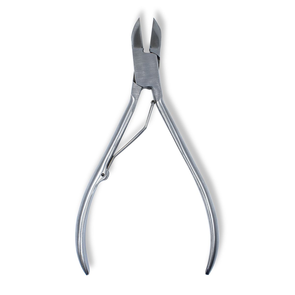 Coral Cutter - Medium Duty - Stainless Steel - Aquatic Tools – DR ...