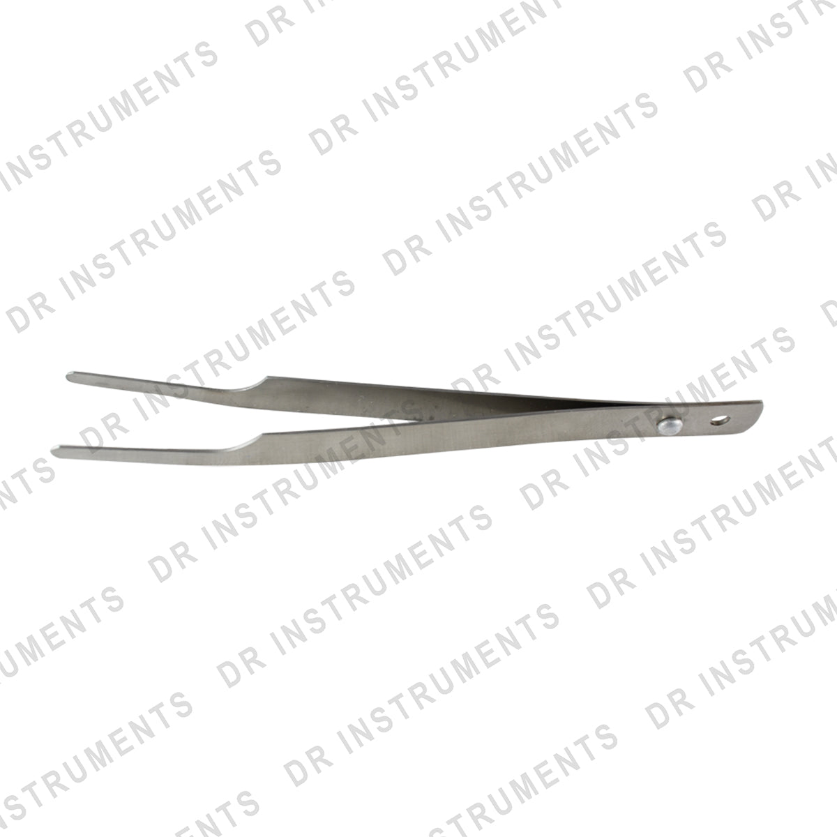 Entomology Forceps Wide-Tip - Dissecting Forceps - DR Instruments