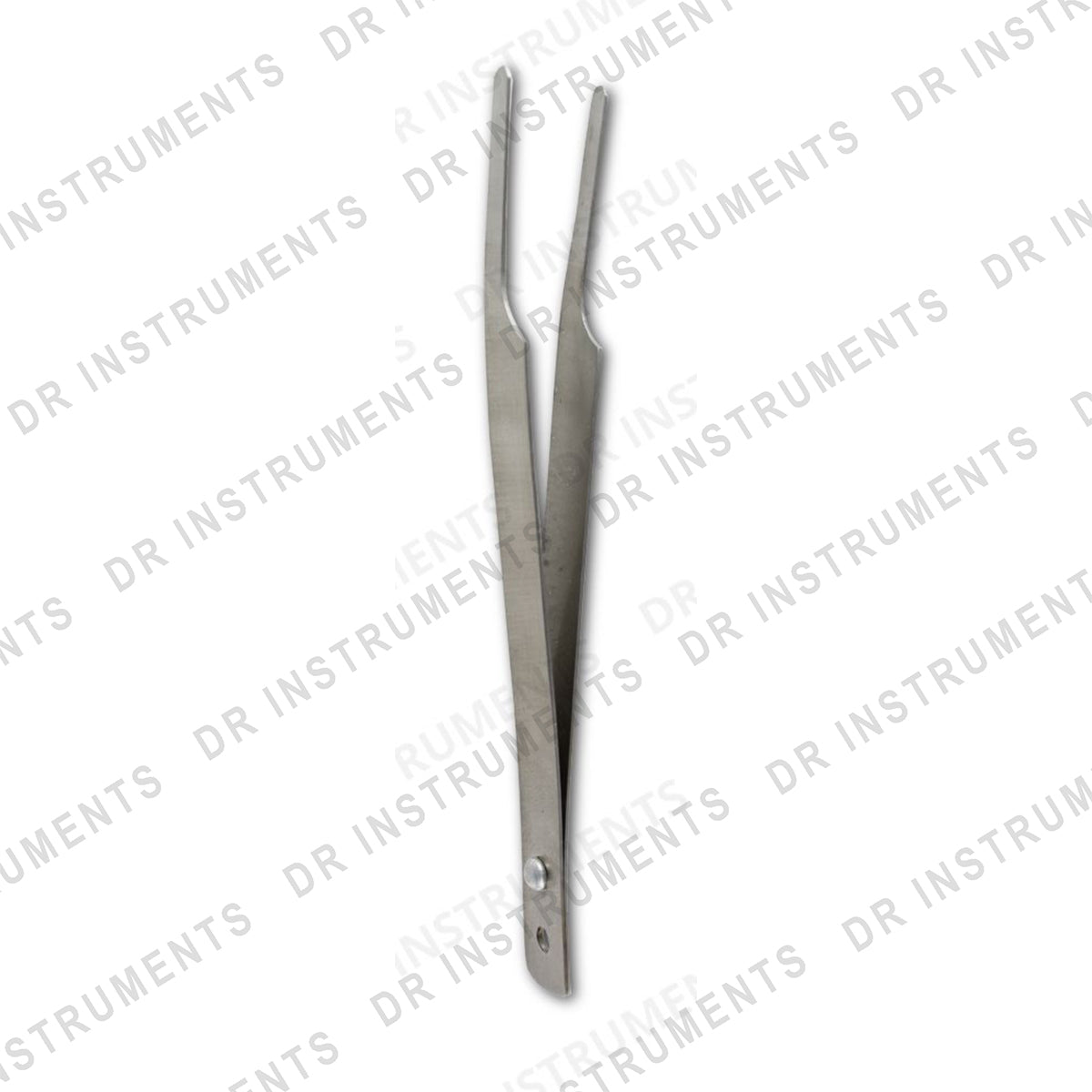 Entomology Forceps Wide-Tip - Dissecting Forceps - DR Instruments